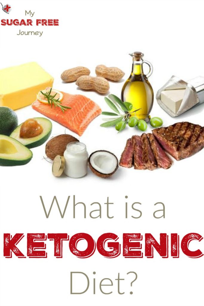 What is a Ketogenic Diet? – My Sugar Free Journey