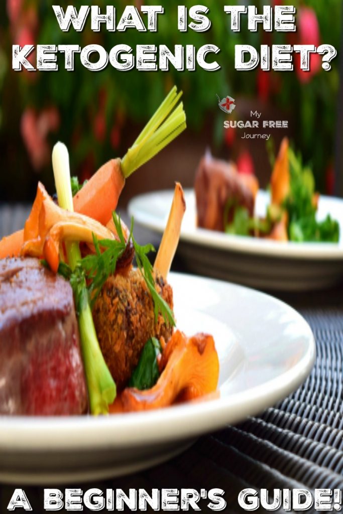 What is the Ketogenic Diet? A Beginner’s Guide! – My Sugar Free Journey